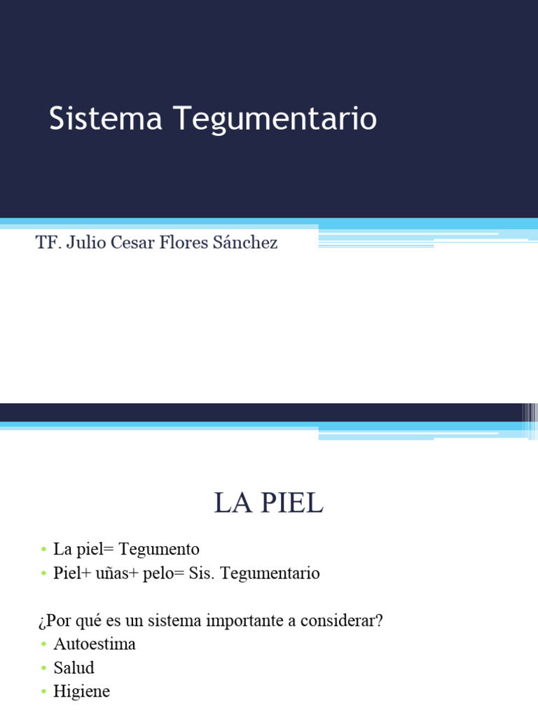 Sistema Tegumentario | PDF | Piel | Sistema tegumentario