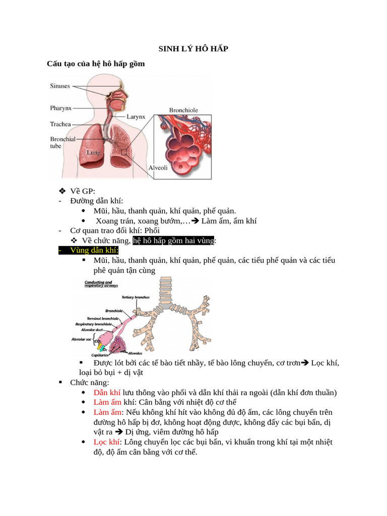 SINH LY HO HAP | PDF