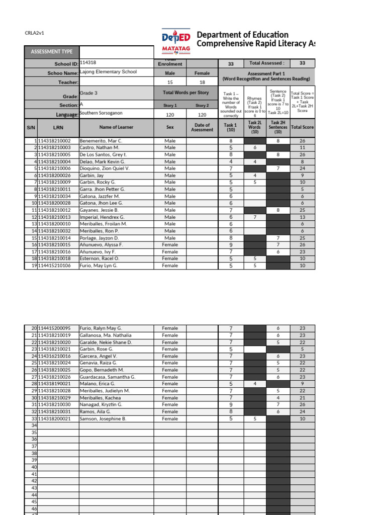 Grade 3 Literacy Assessment Results | PDF | Reading Comprehension ...