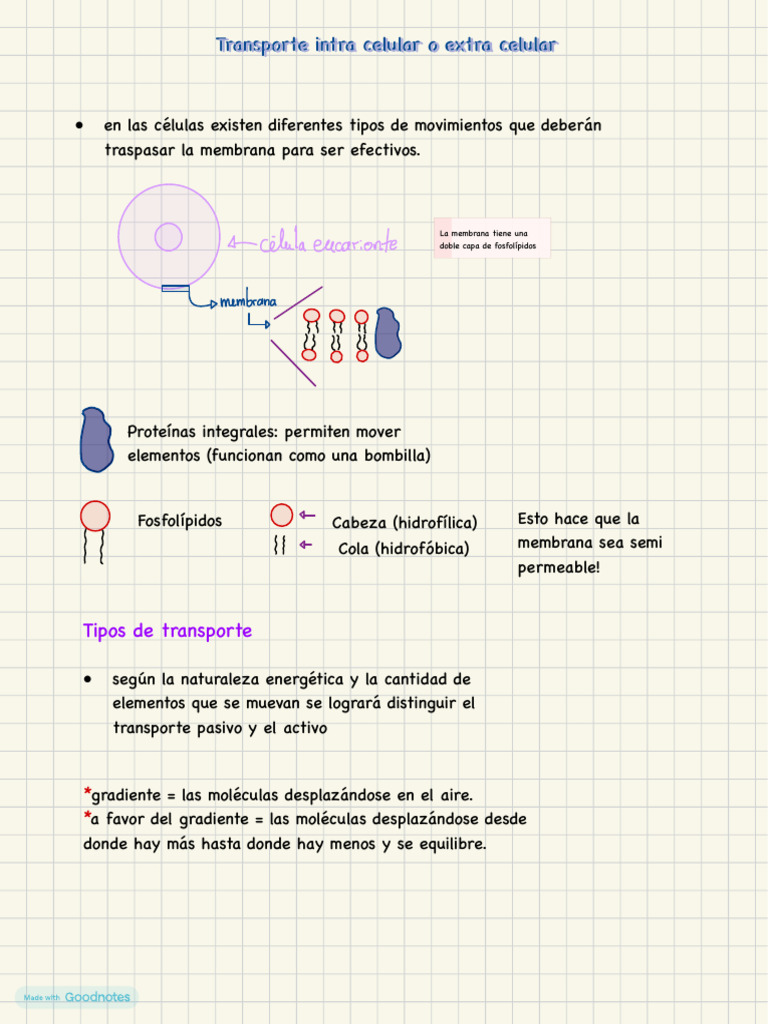 Transporte Intracelular y Extracelular Si | PDF | Membrana biológica ...