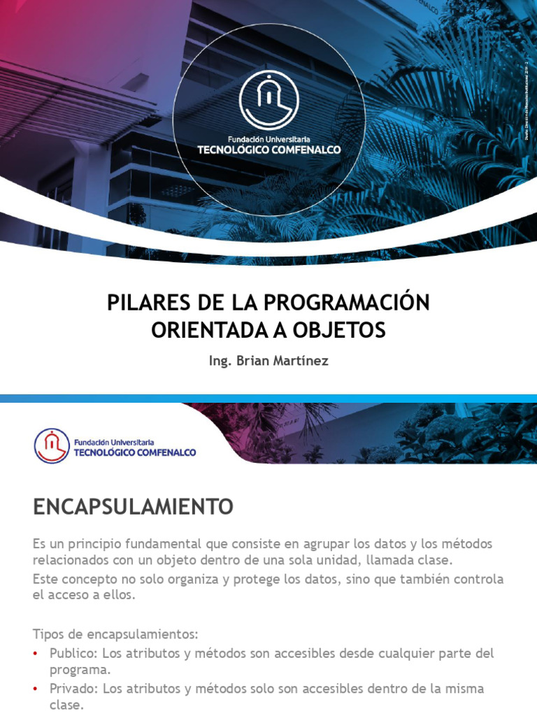 Pilares de POO: Encapsulación y Herencia | PDF | Herencia (Programación Orientada a Objetos ...