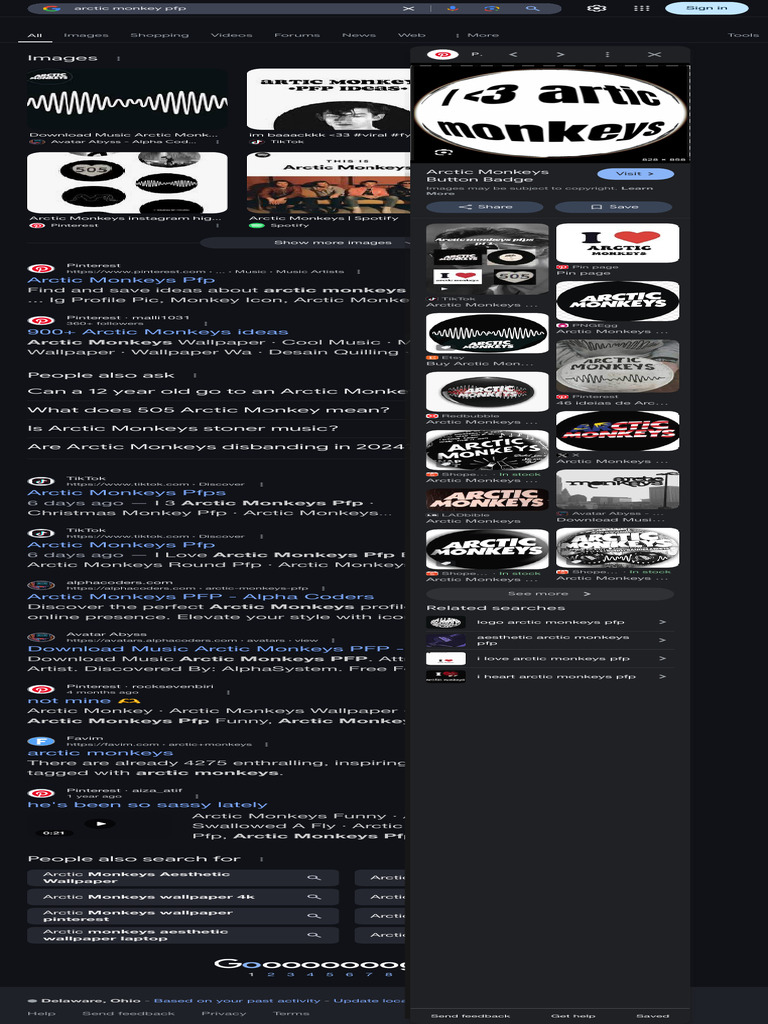 Arctic Monkey Pfp - Google Search | PDF