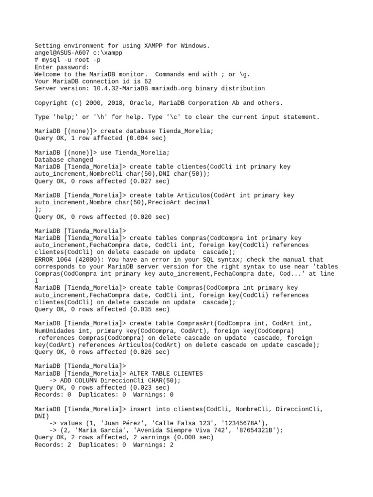 Practica Parcial 3 Ángel Villa Pérez | PDF | Data Model | Sql