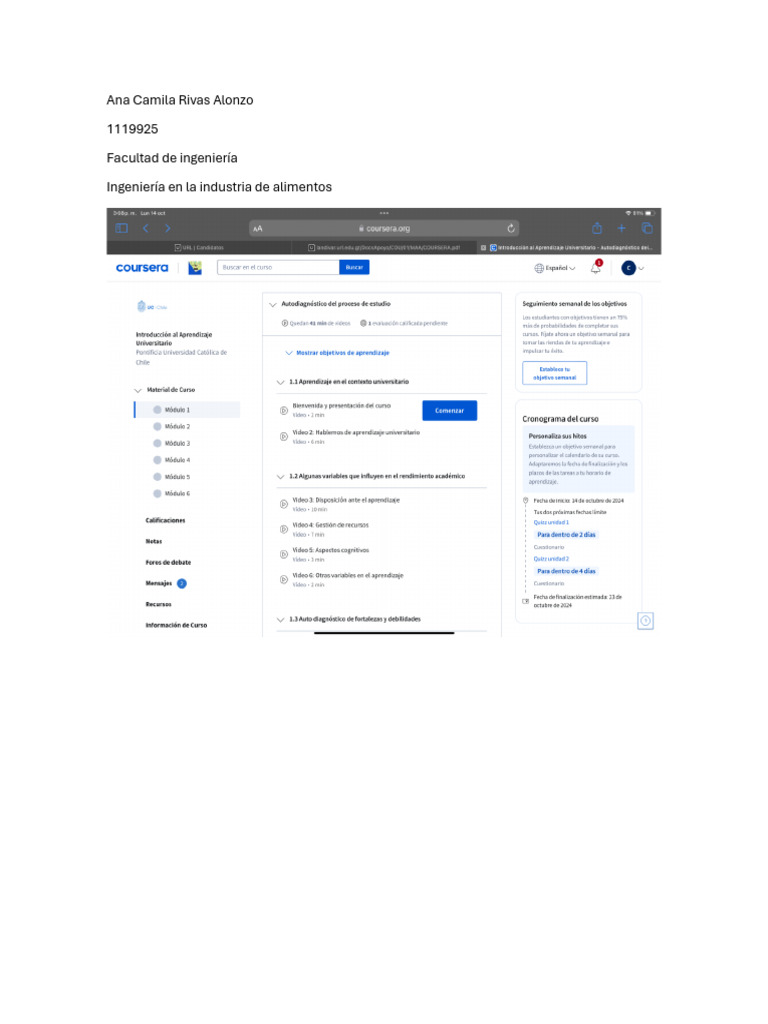 Constancia Aprende A Aprender | PDF
