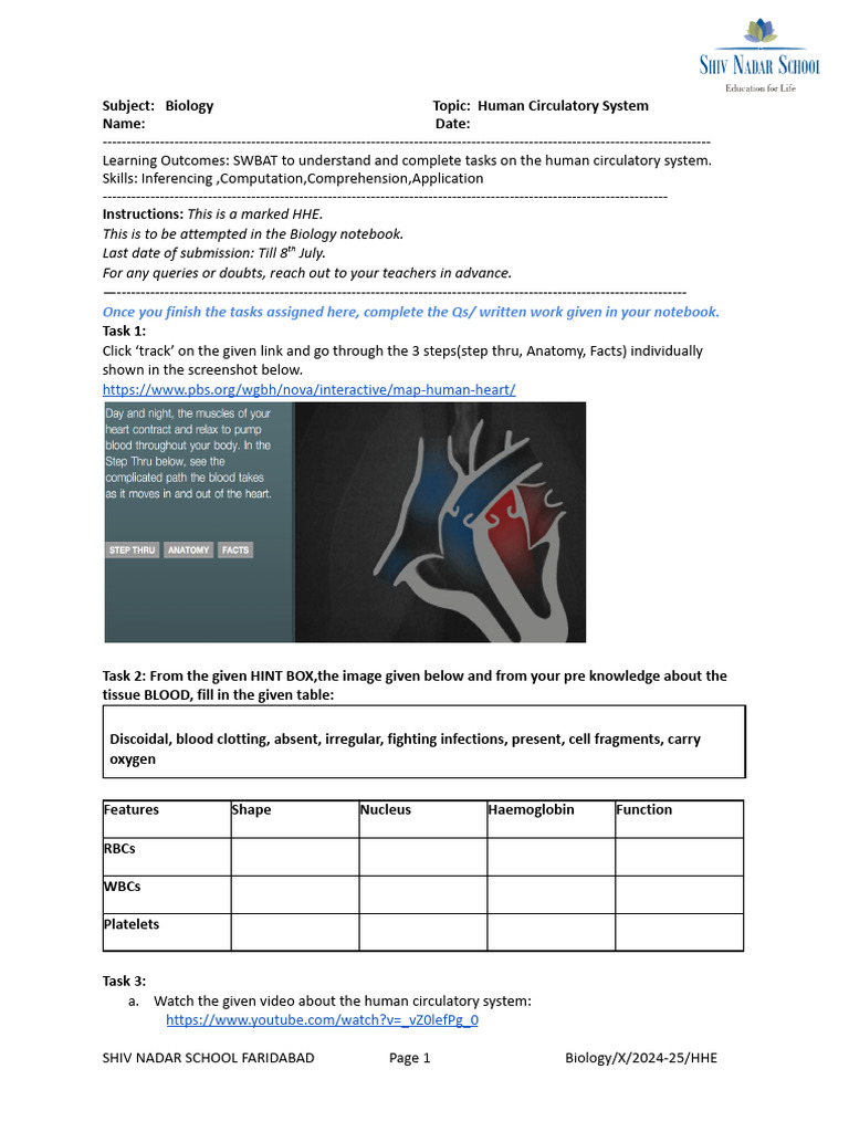 GR X - Biology - Summer HHE 2024-25 | PDF | Circulatory System | Heart