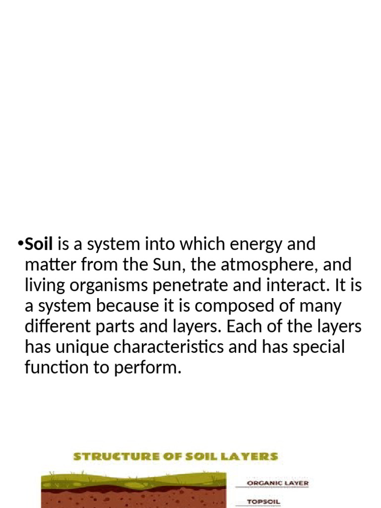 Soil Layers and Their Functions | PDF | Soil | Topsoil