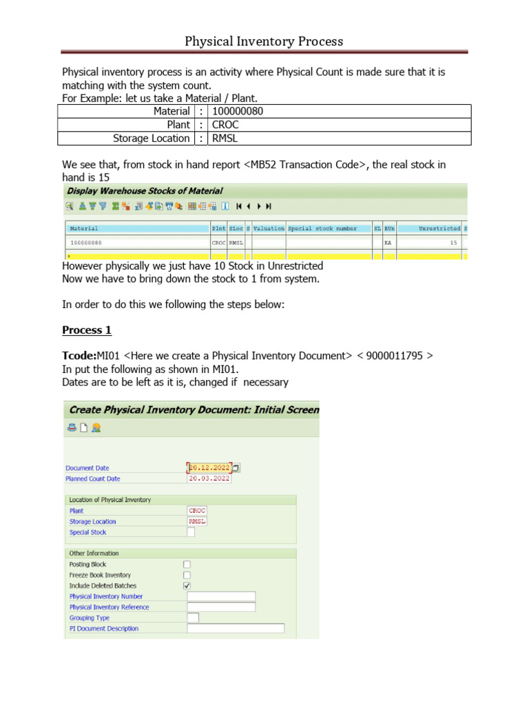 Physical Inventory Process | PDF | Inventory | Logistics