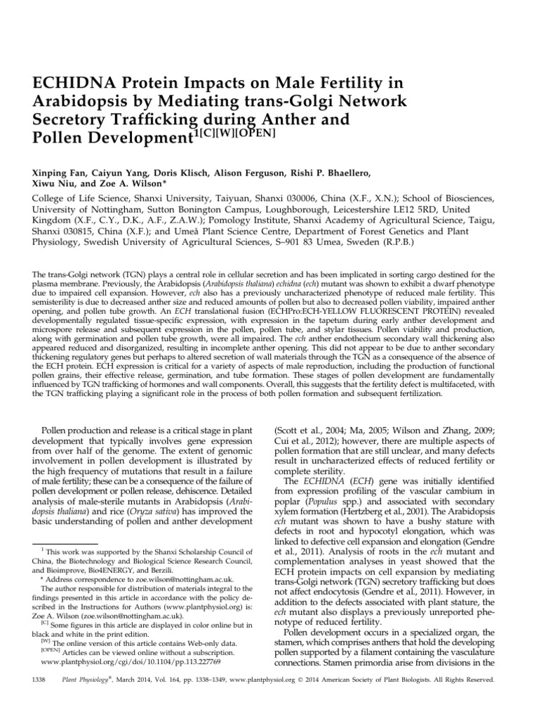 ECHIDNA Protein's Role in Arabidopsis Fertility | PDF | Pollen | Arabidopsis Thaliana