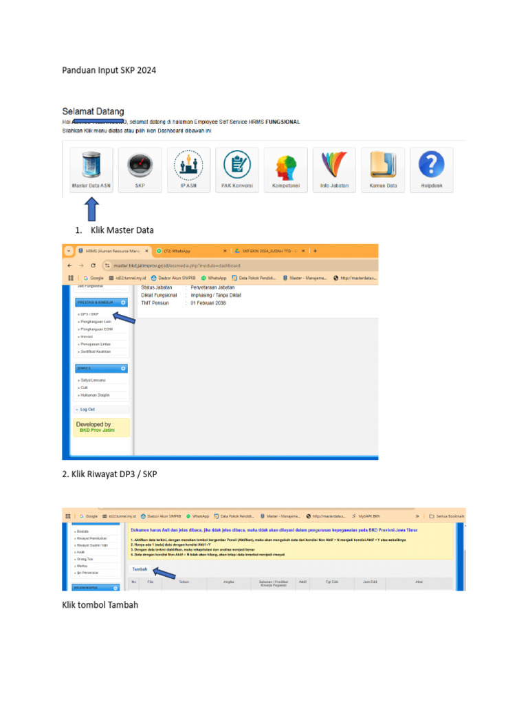 Panduan Input SKP 2024 | PDF