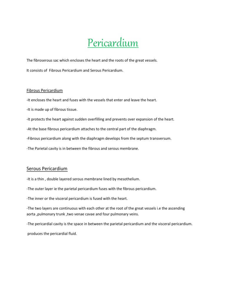 Anatomy of the Pericardium Explained | PDF