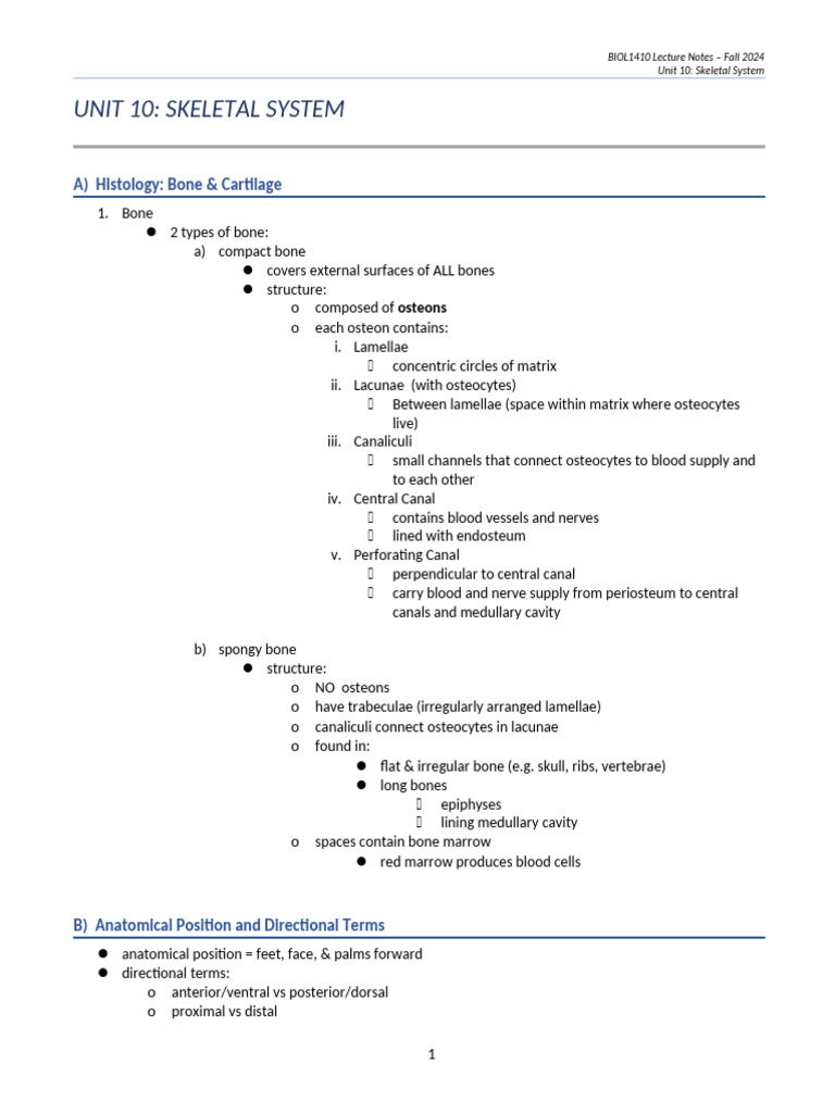 Skeletal System Overview and Anatomy | PDF | Vertebra | Vertebral Column