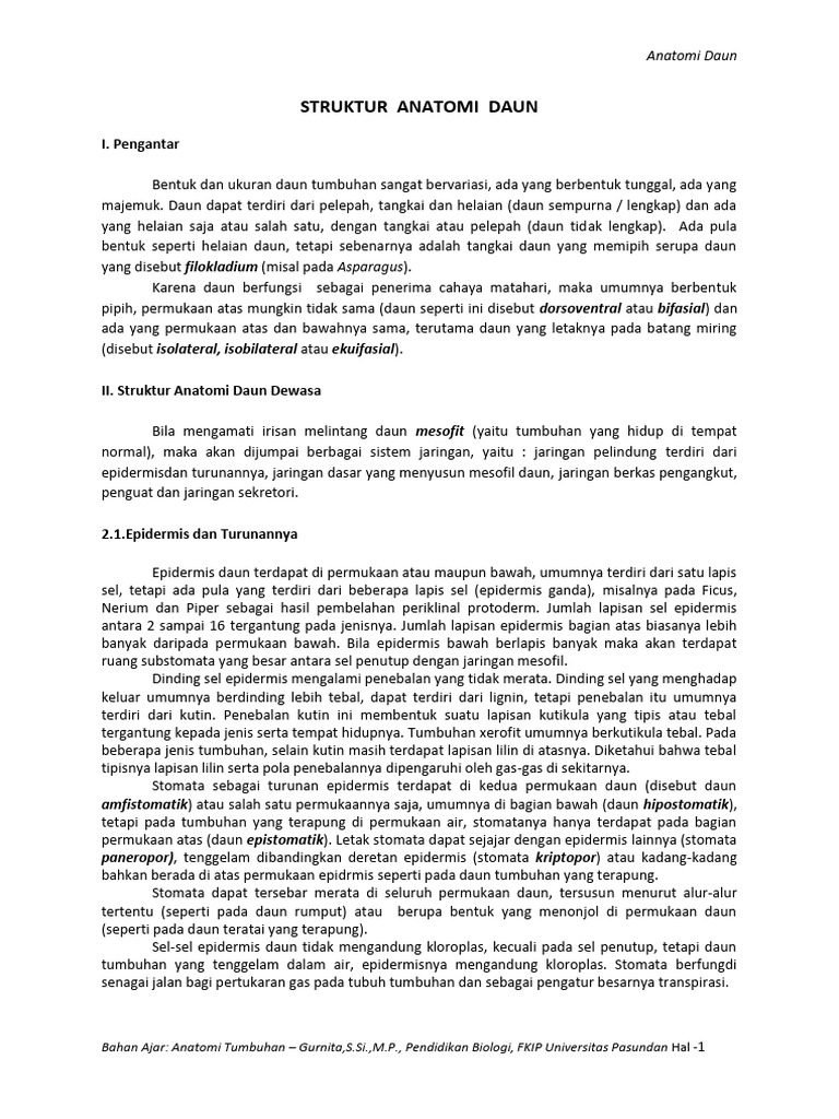 MODUL ANATOMI TUMBUHAN_DAUN | PDF