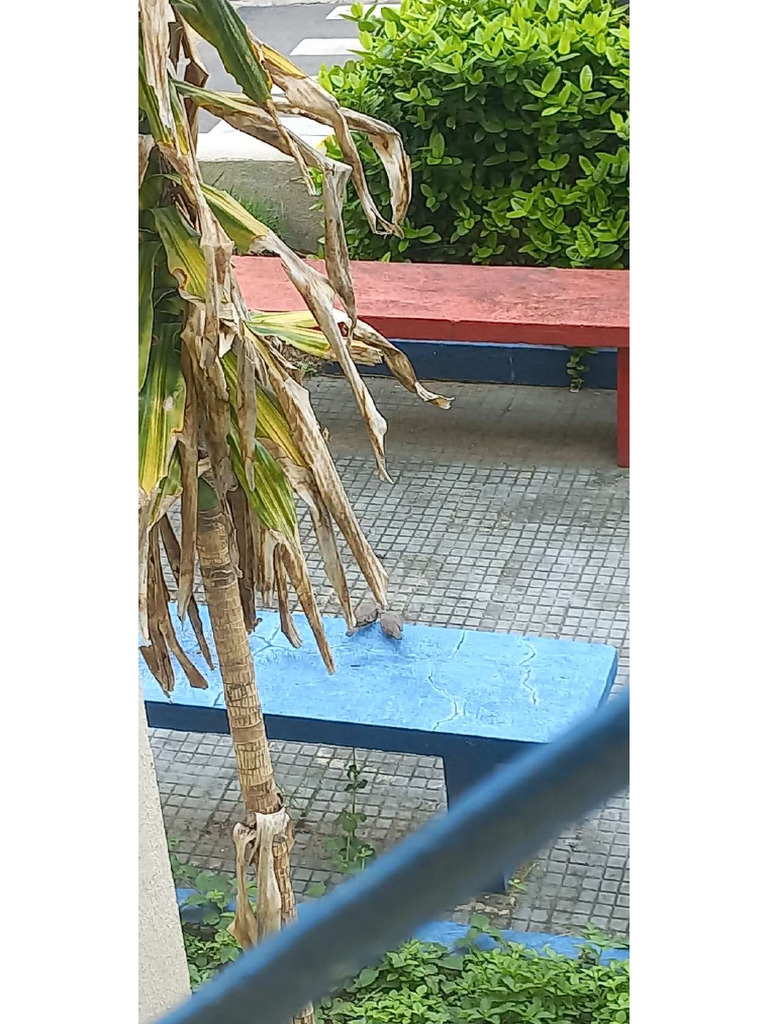 20250203_105540 | PDF