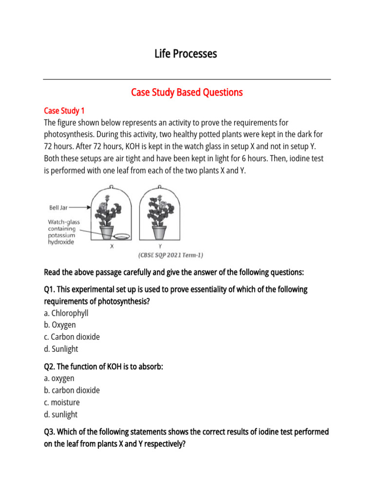 Photosynthesis and Respiration Case Studies | PDF | Artery | Digestion