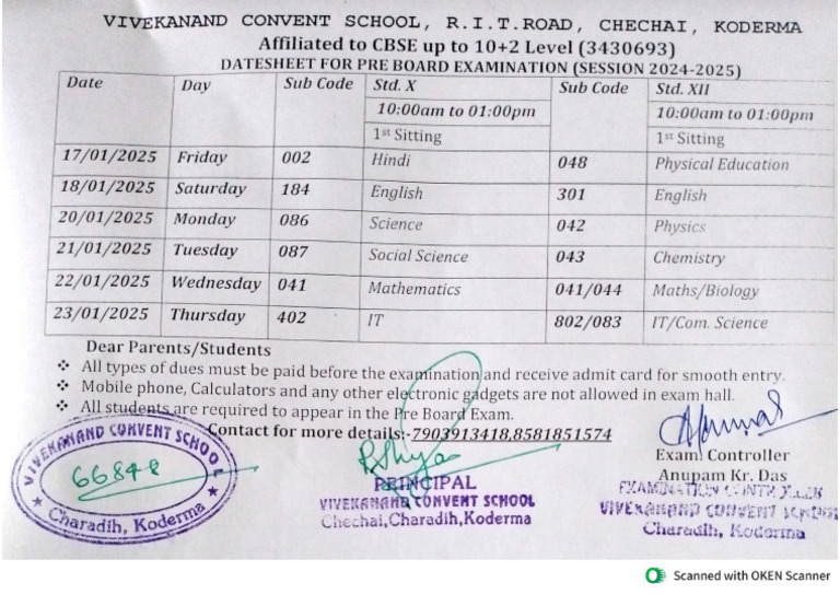 Informatics_Practices_SrSec_2024-25 | PDF