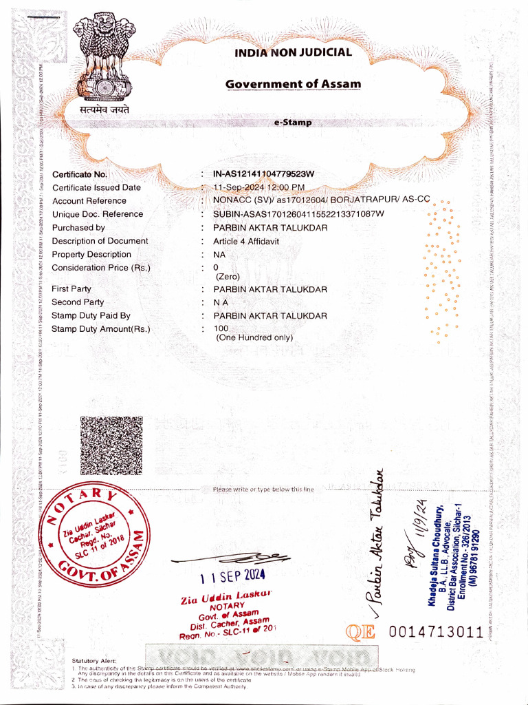 Affidavit PRB 11-Dec-2024 | PDF | Affidavit | Common Law