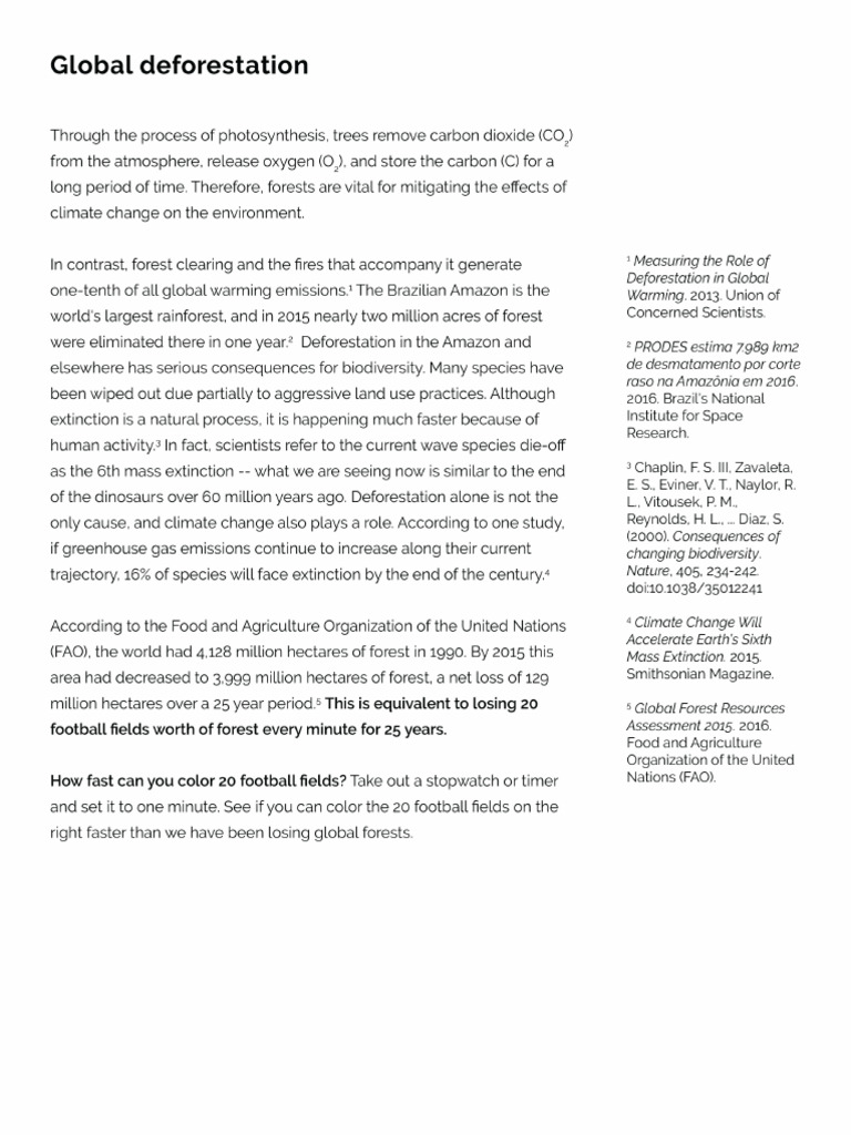CCCB Global Deforestation | PDF