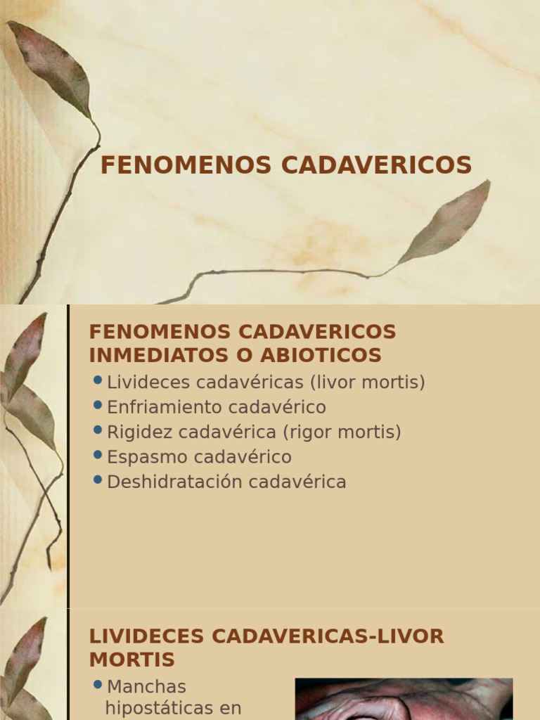 Fenomenos Cadavericos | PDF | Descomposición | Cadáver
