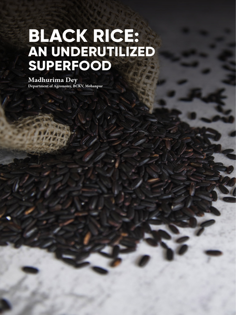 003 Black Rice | PDF | Rice | Dietary Fiber