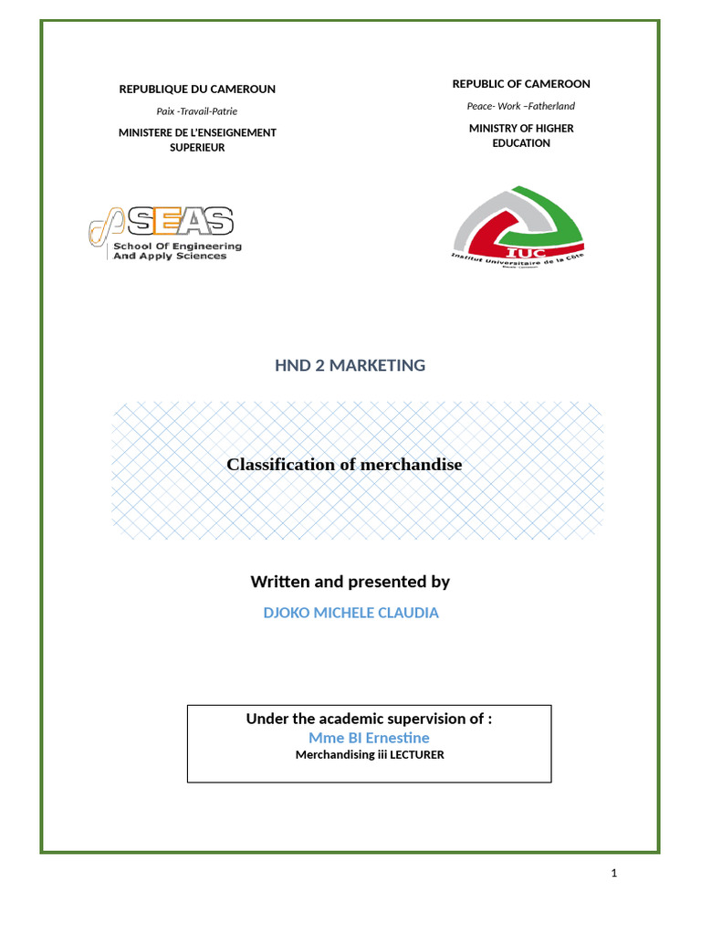 Merchandise Classification Overview | PDF | Merchandising | Product ...