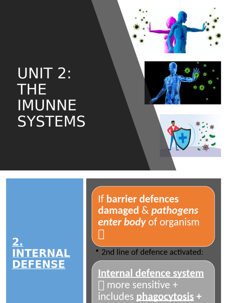 Unit 2 - Immune Systems - Lecture 2 - Narrated Lecture | PDF ...