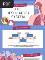 Structure and Function of The Gas Exchange System - Respiration and Gas ...
