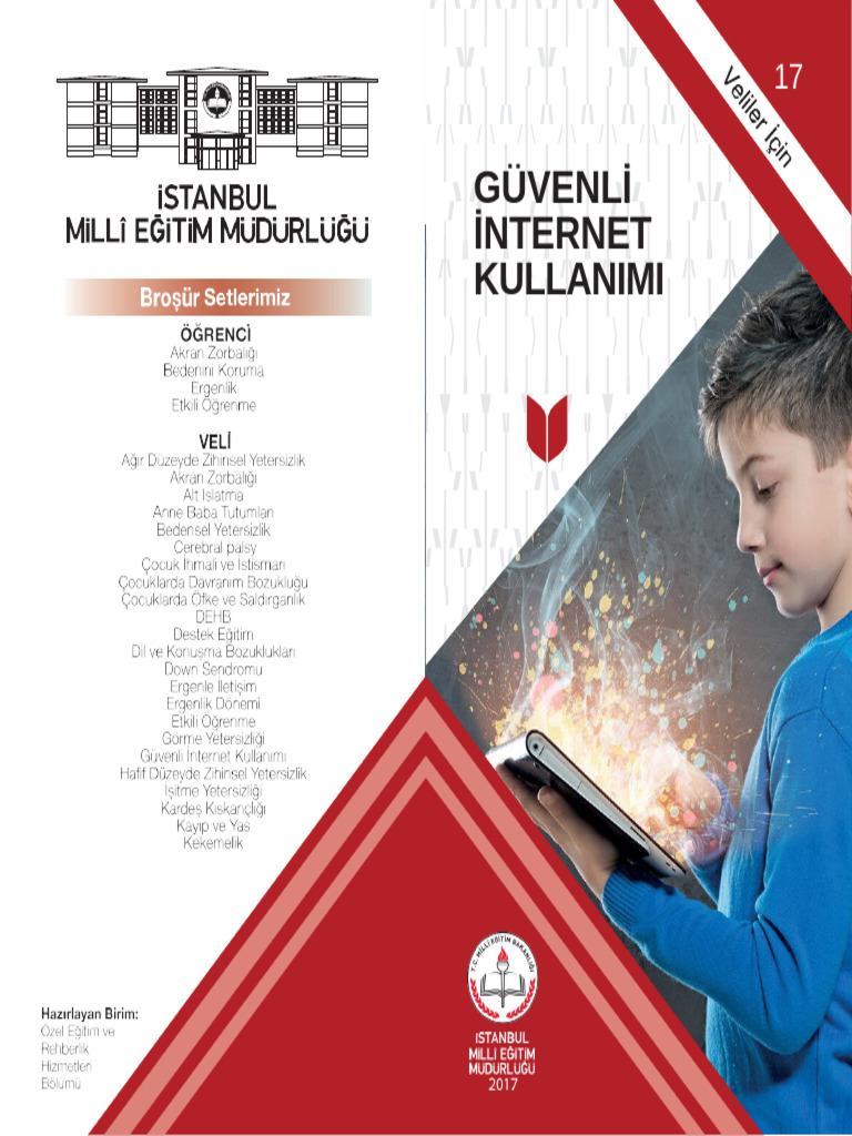 17 Guvenli Int Kullanimi | PDF