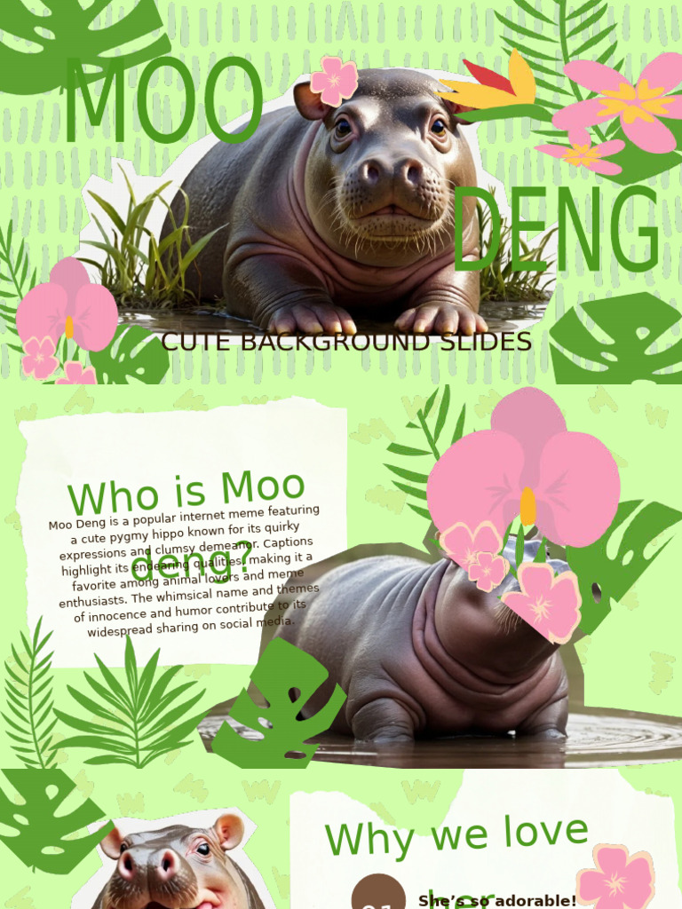 Moo Deng: The Meme Pygmy Hippo | PDF