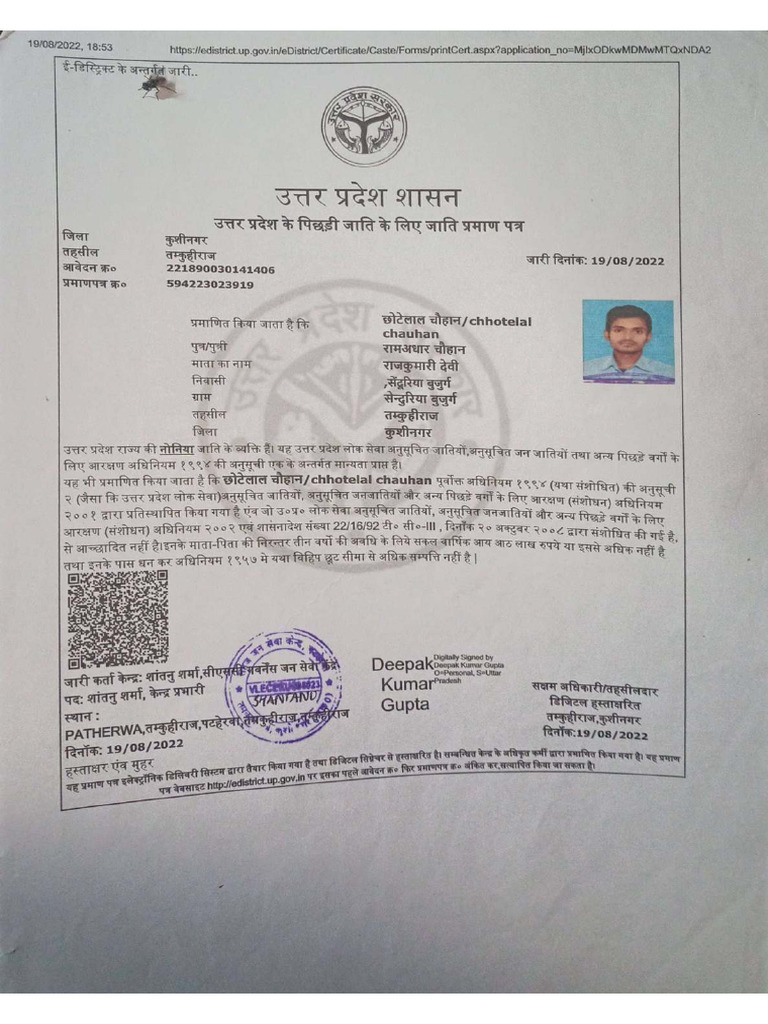 Cast Cerificate | PDF