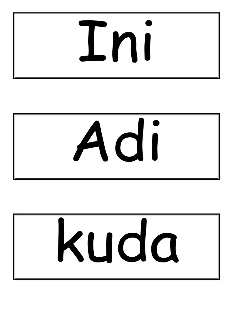 Nisa BM Flashcard | PDF