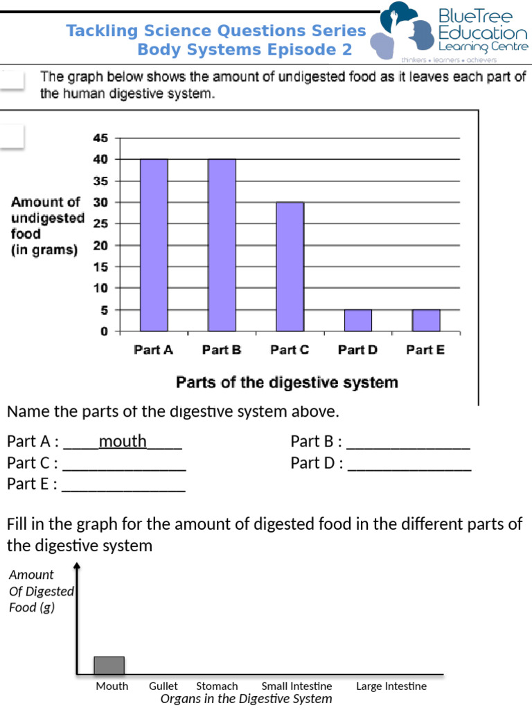 TSQ-human-syst-2-question | PDF
