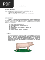 ENVIROPIG | PDF | Genetically Modified Organism | Transgene