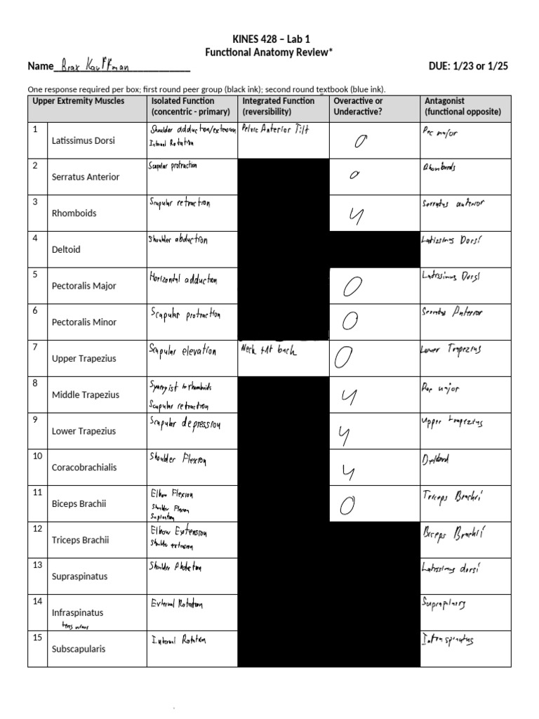 Lab 1 | PDF | Anatomy | Musculoskeletal System