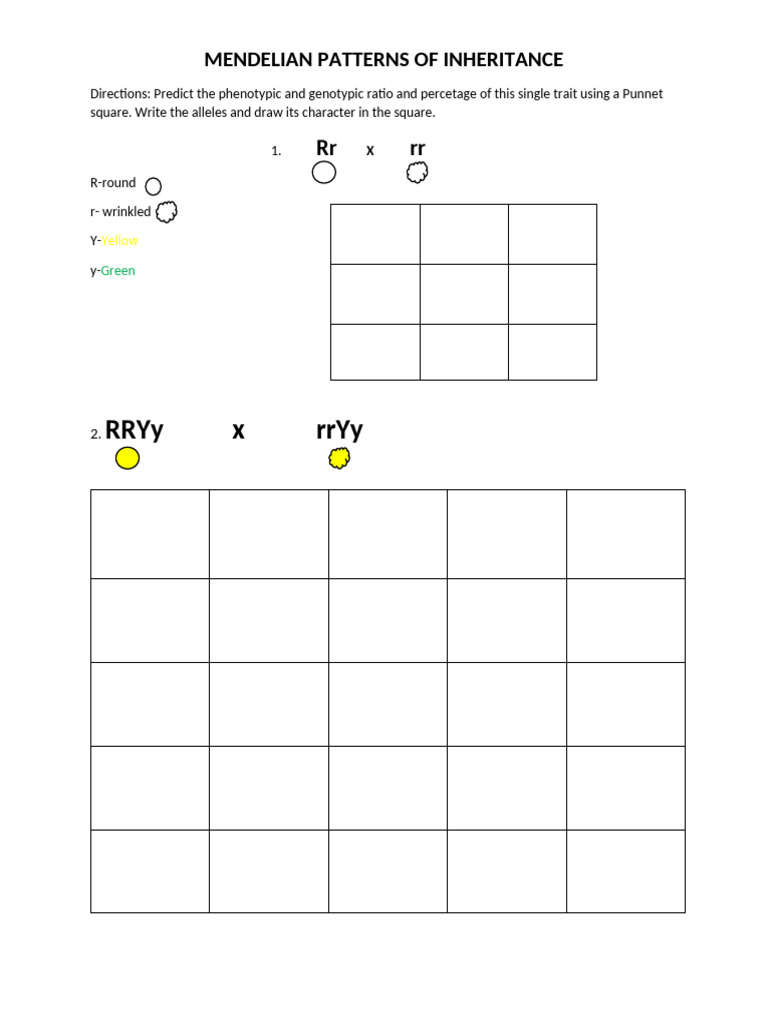 Mendelian Patterns of Inheritance | PDF