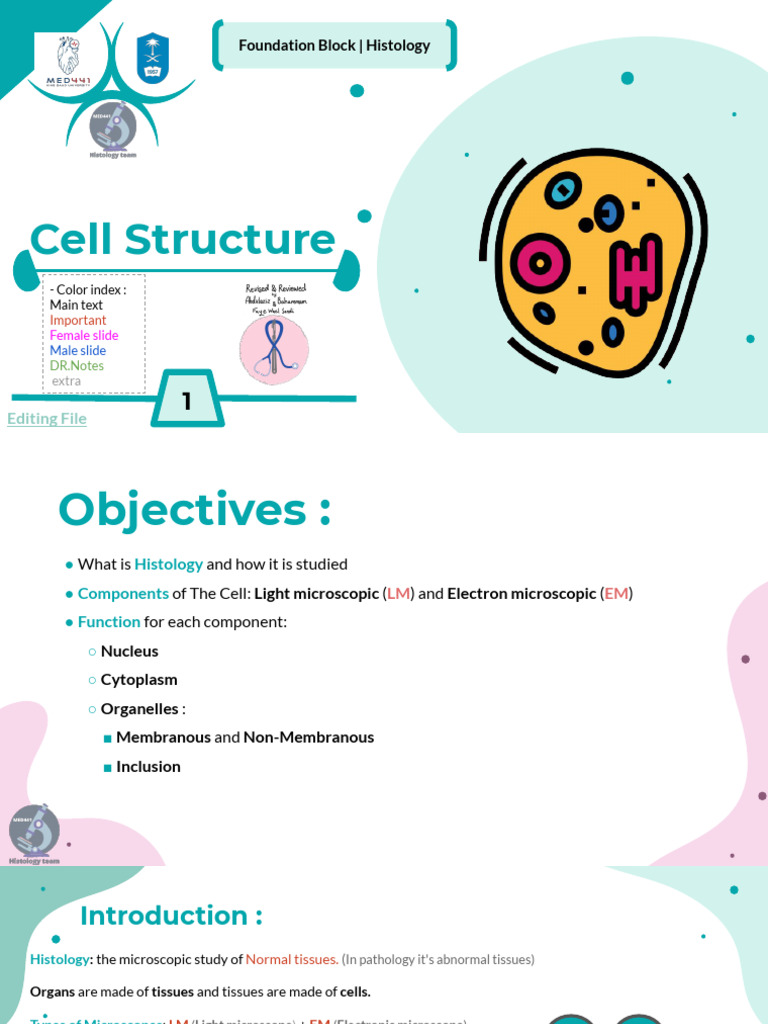 Cell Structure and Histology Overview | PDF | Cell Nucleus | Cell (Biology)