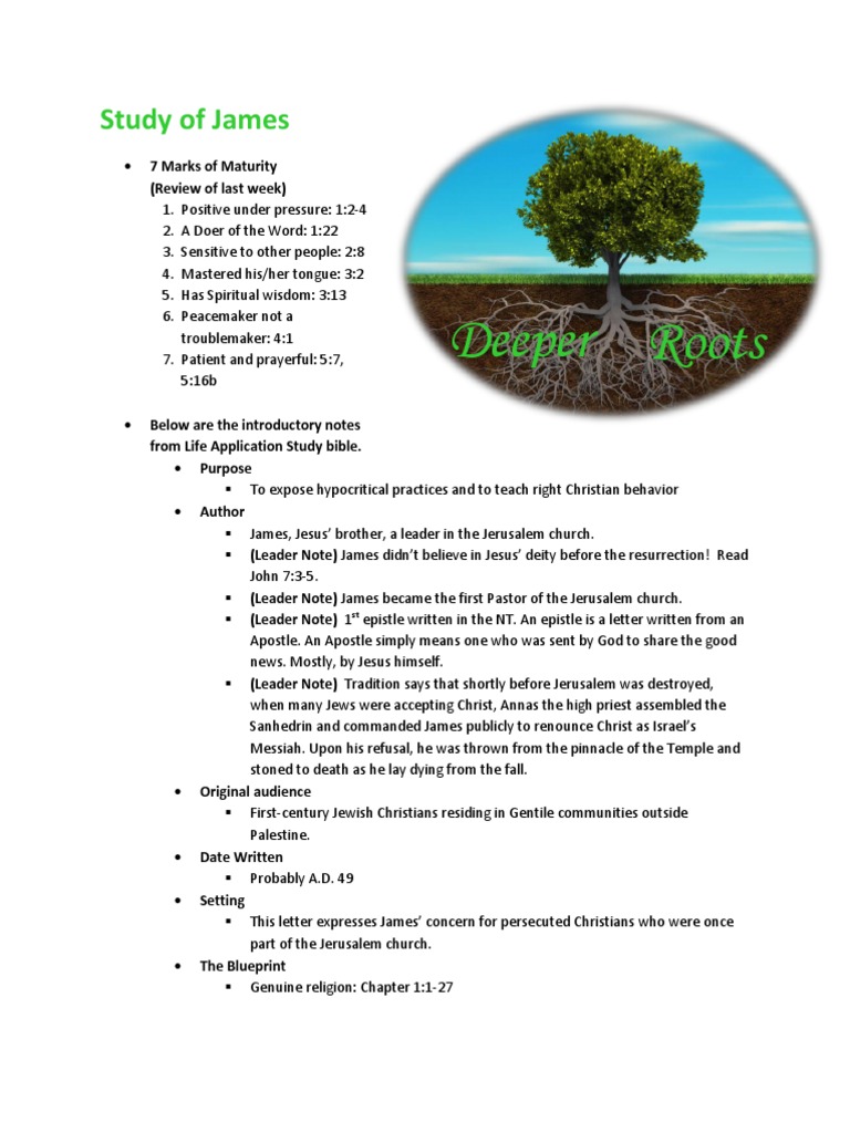 Study of James | PDF | Justification (Theology) | Early Centers Of ...