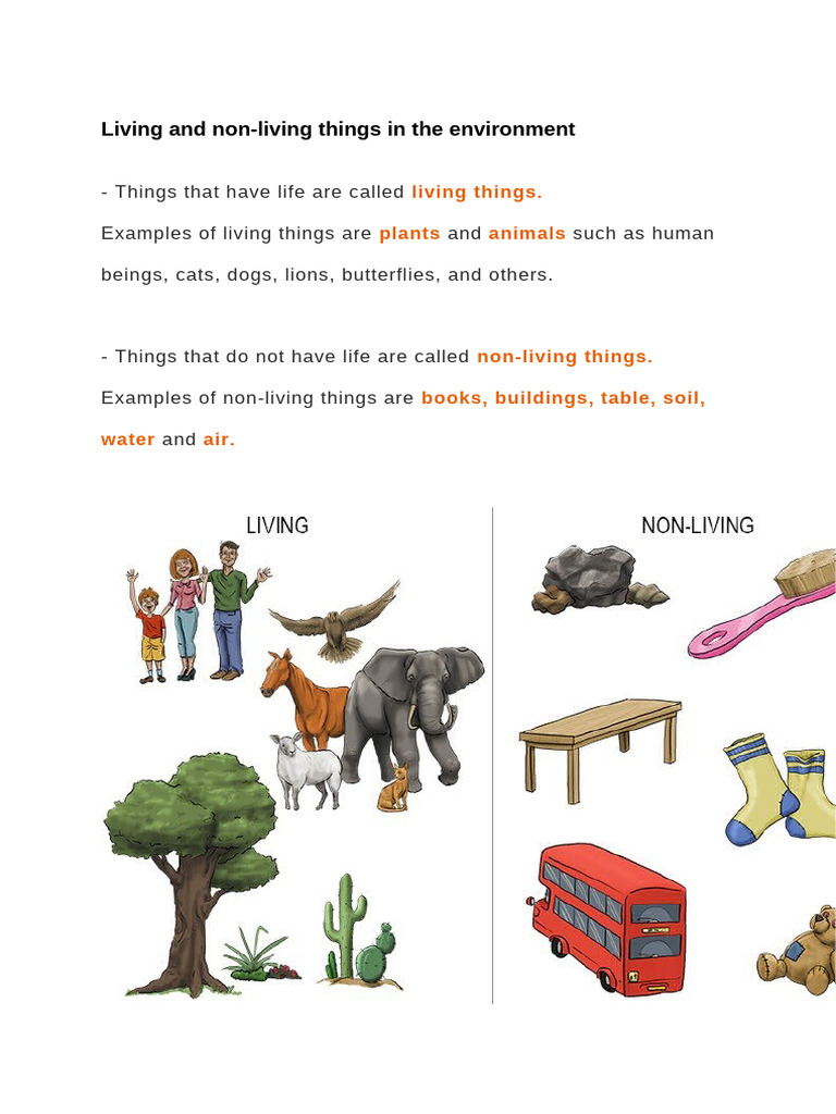 Grade 4 Science and Technology Notes | PDF | Cloud | Digestion