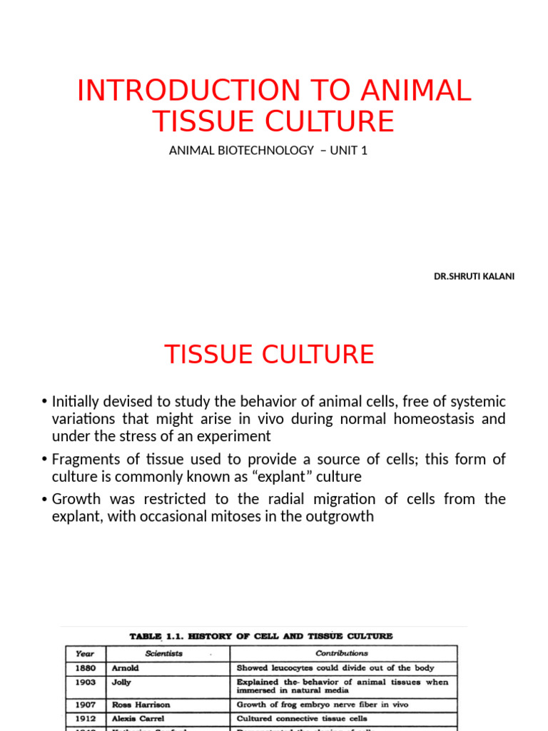 Animal Tissue Culture Basics | PDF | Cell Culture | Embryonic Stem Cell