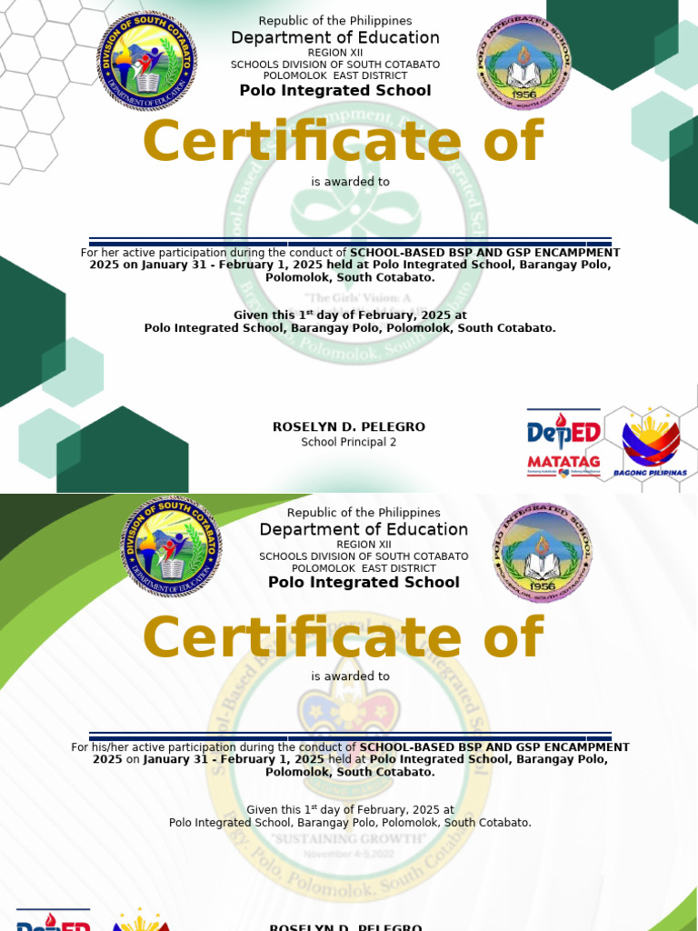 Certificate of Participation for BSP GSP 2025 | PDF