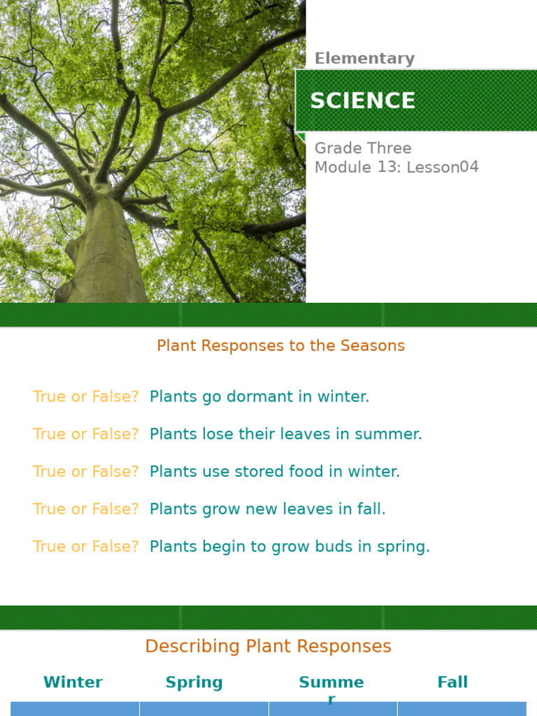 4900 Sciencegrade3 v17 Gs 1304 Classtimepresentation | PDF