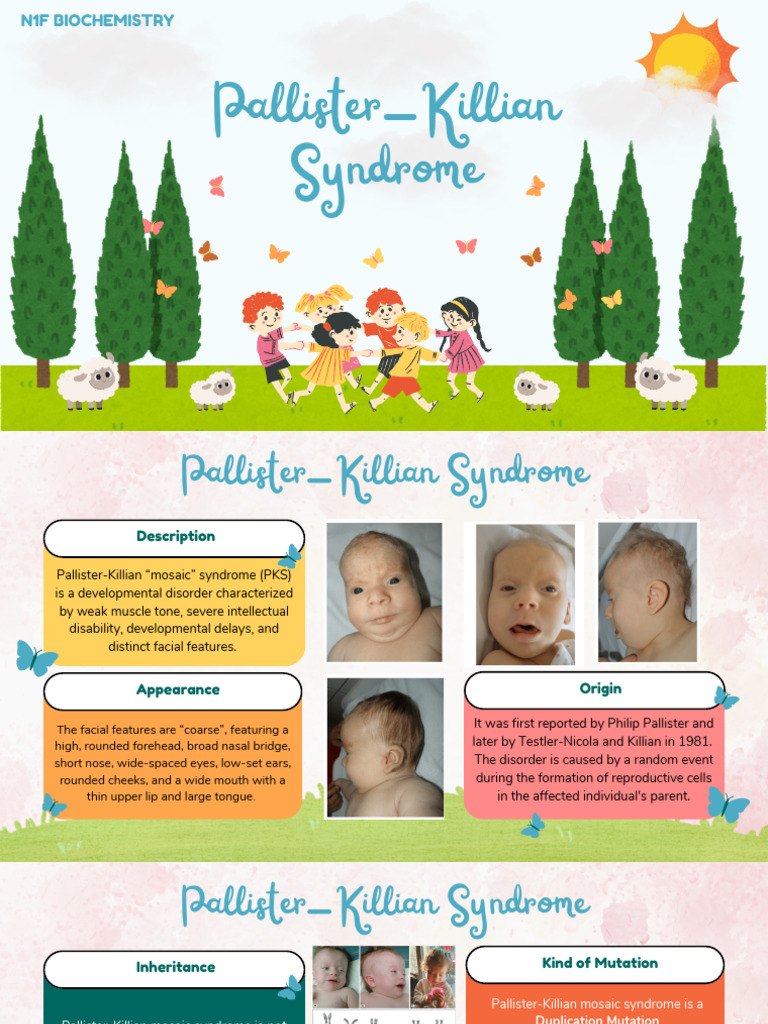 Understanding Pallister-Killian Syndrome | PDF | Syndrome | Medical ...