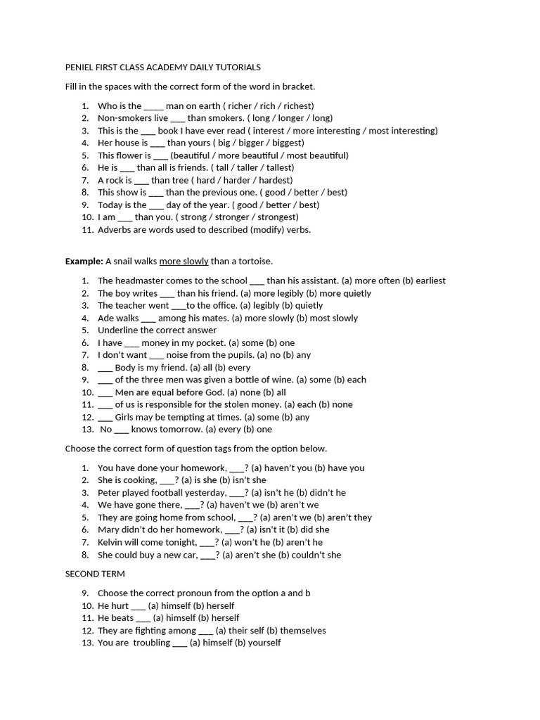 Basic 6b | PDF | Linguistic Typology | Language Mechanics