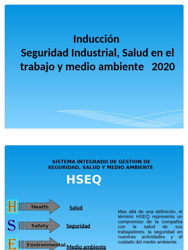 INDUCCION Y REINDUCCION SGSST | PDF | Valores | Seguridad y salud ocupacional