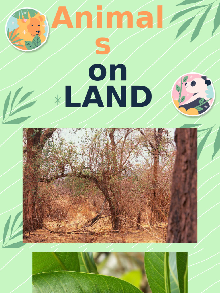 Animals on Land | PDF | Predation | Frog