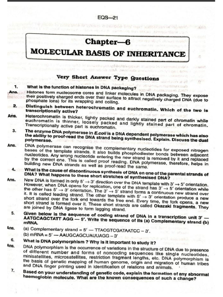 Molecular Basis of Inheritance Exemplar | PDF