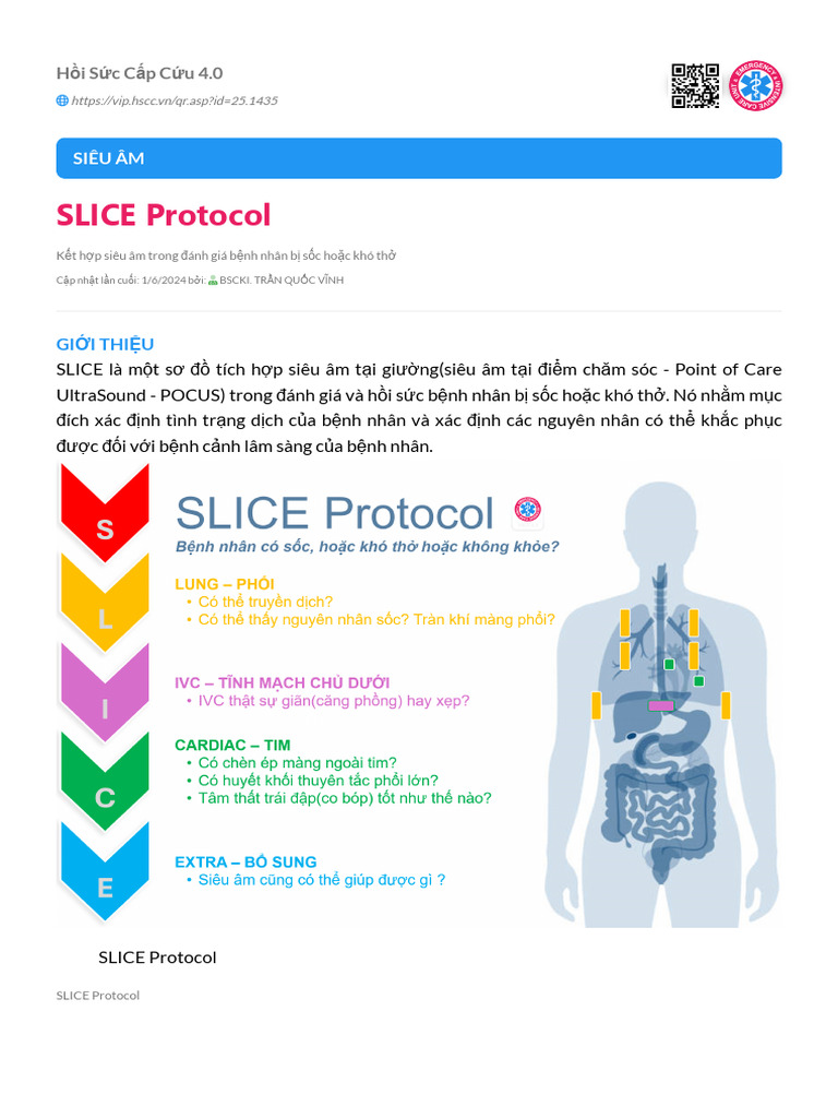 Slice Protocol - HSCC - VN | PDF