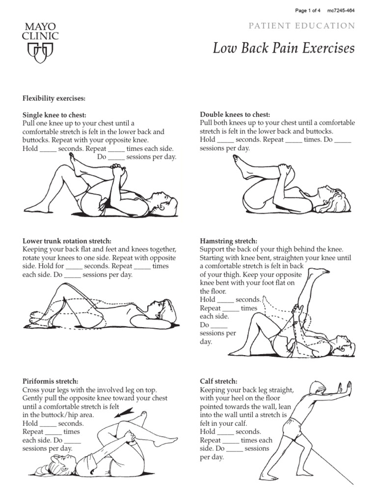 Low Back Pain Exercises 1 2 | PDF | Pelvis | Knee