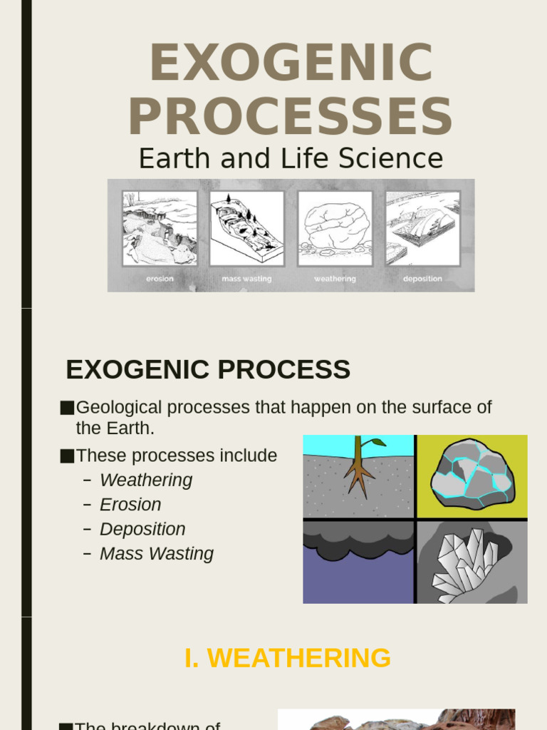 Q3 Lesson 4-5 Exogenic and Endogenic Processes | PDF | Weathering | Magma