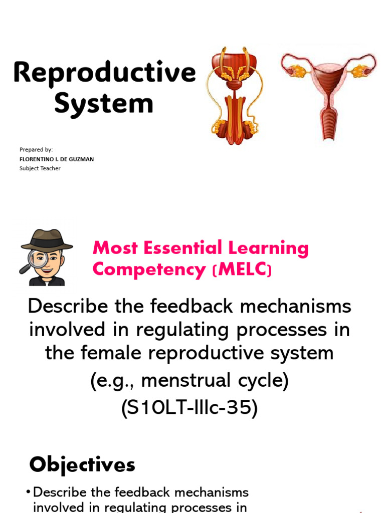 Q3 Lesson 2 The Reproductive System | PDF | Menstrual Cycle ...