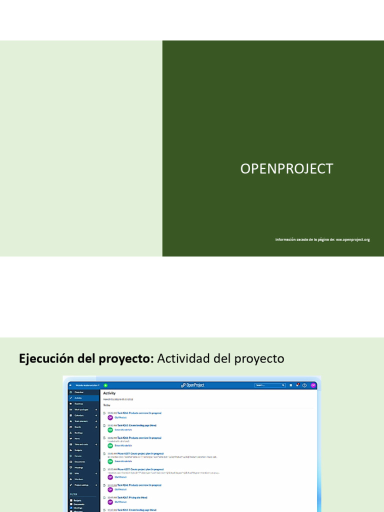 OpenProject B | PDF